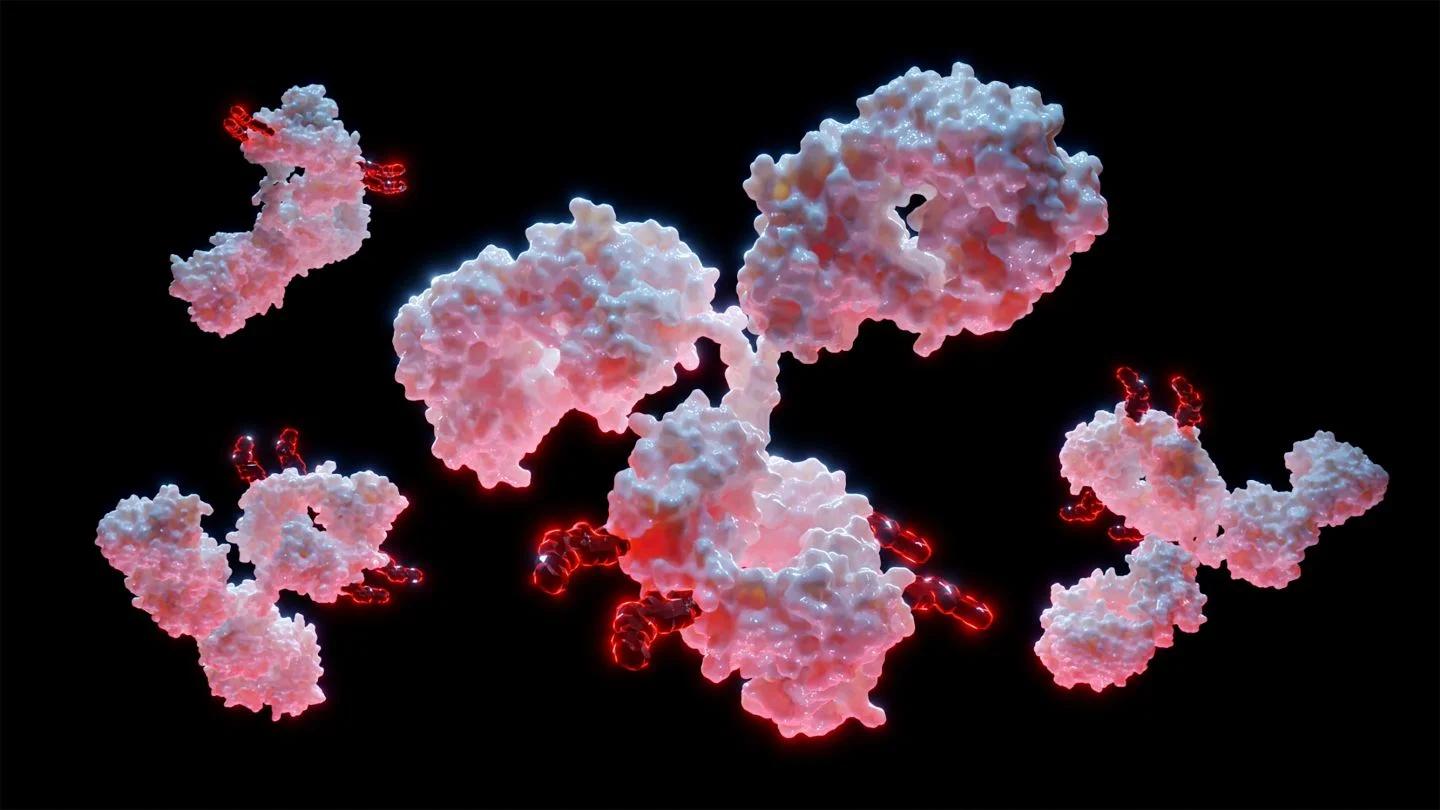 FDA awards record number of review designations to ADCs in 2024