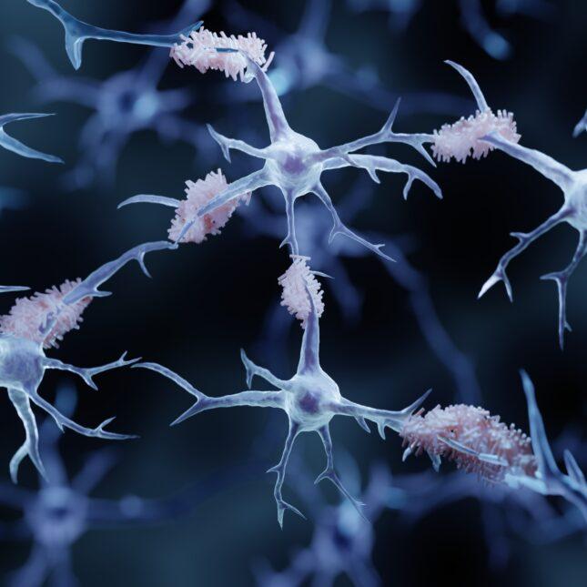 Verge Labs’ new AI model solves patient stratification problems for ...