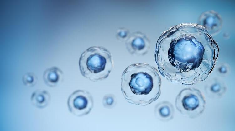 Why scaling human-derived models is pharma's next big challenge